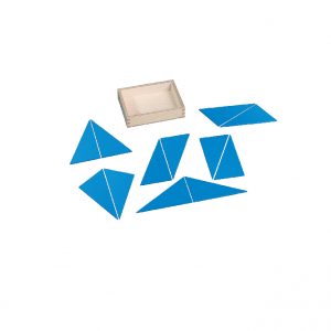 Constructive Blue Triangles - Bruins